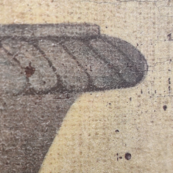 Pier 1 | Art | Jacques Lamy Art For Pier | Poshmark